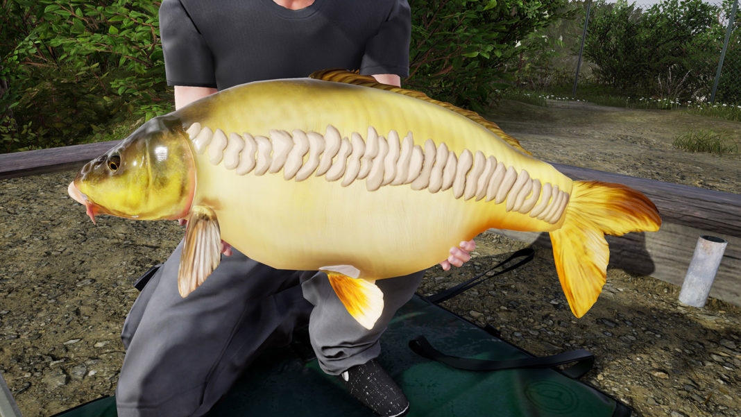 Fishing Sim World: Pro Tour est désormais disponible sur PS4, Xbox et PC